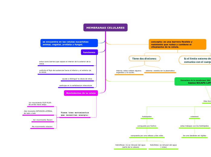 MEMBRANAS CELULARES - Mind Map MEMBRANAS CELULARES - Mind Map